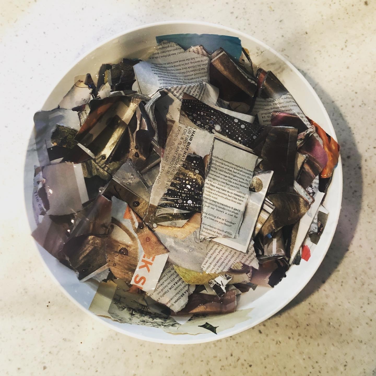 Seeing Something New - Creative Pinellas