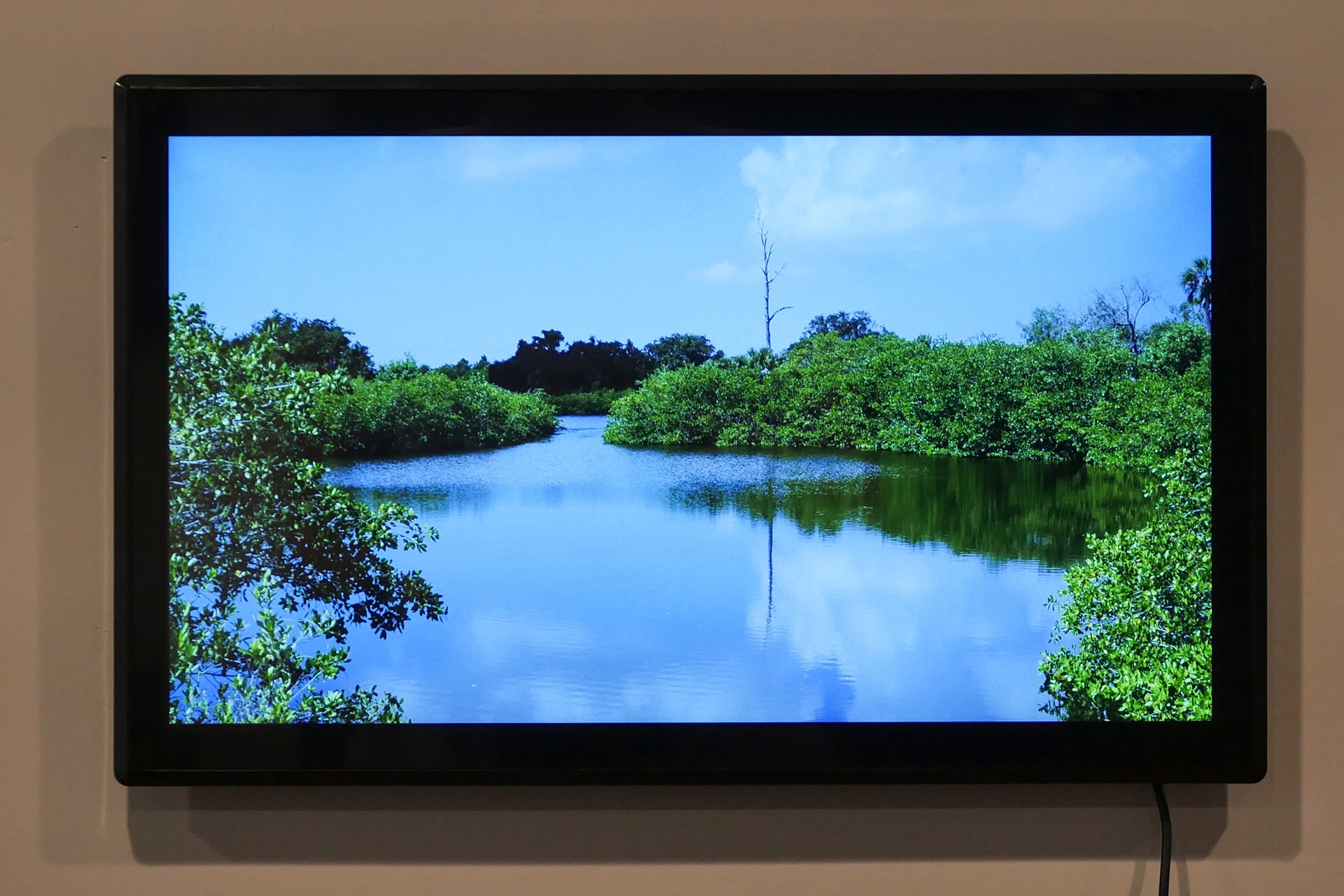 Sharing the Art of Nature - Creative Pinellas