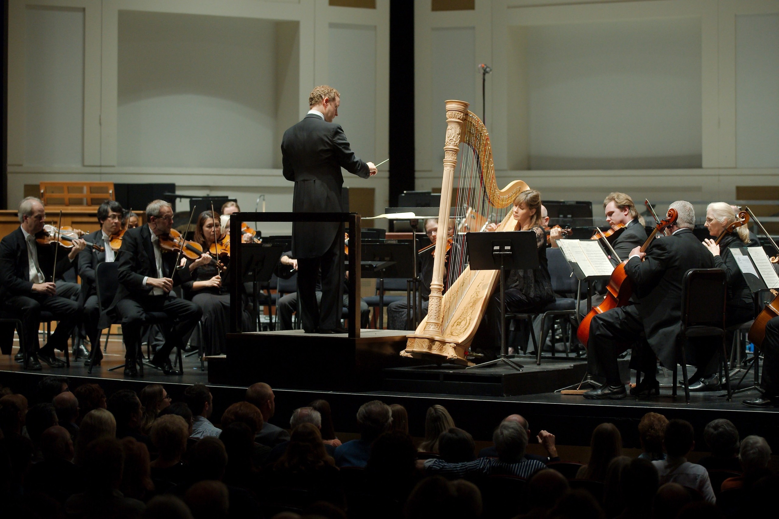 The Principal Harpist of The Florida Orchestra - Creative Pinellas