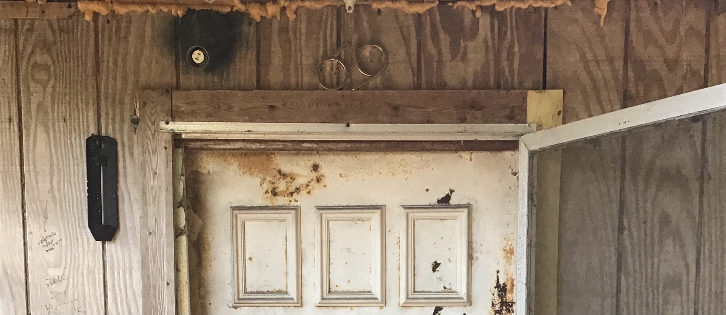 Studio 69 - Creative Pinellas