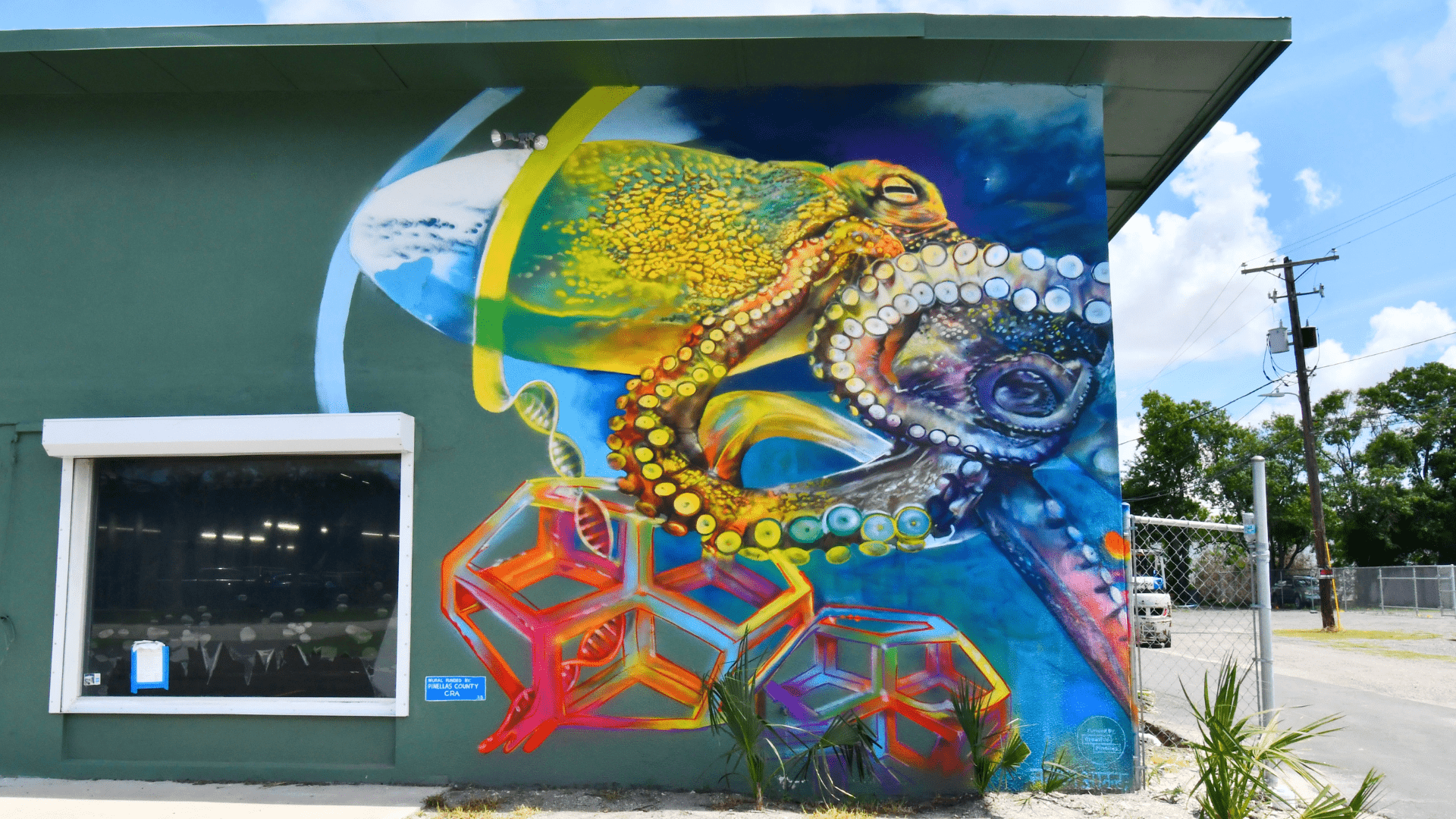 Harmonic Resonance - Creative Pinellas