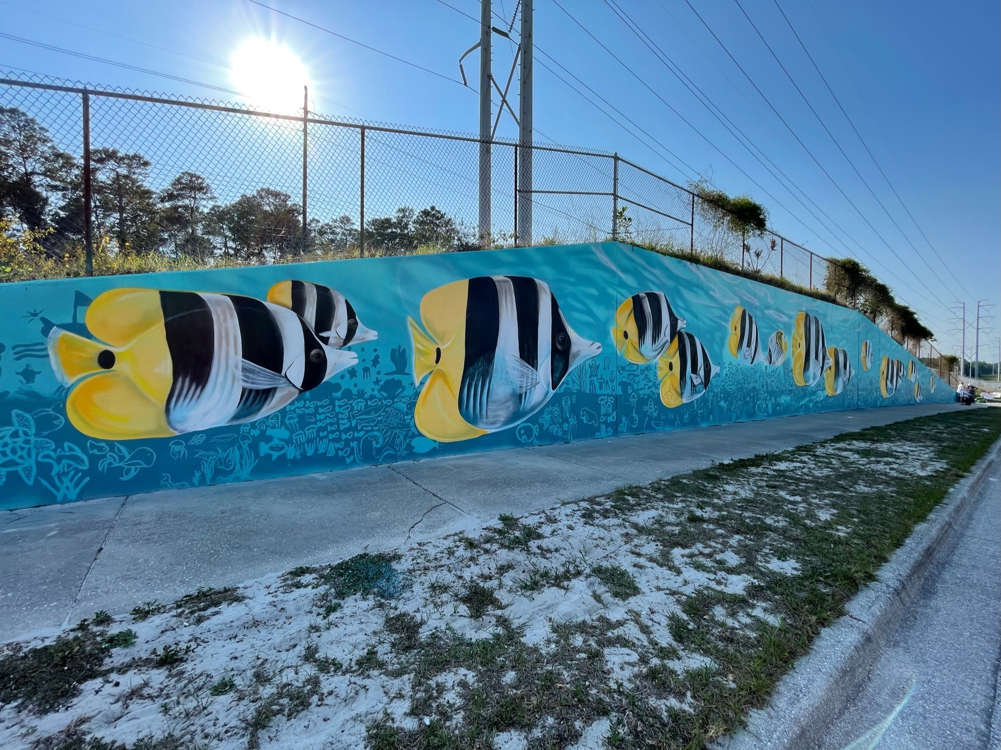School of Fish - Creative Pinellas