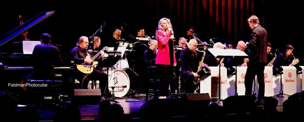 David Manson - Creative Pinellas