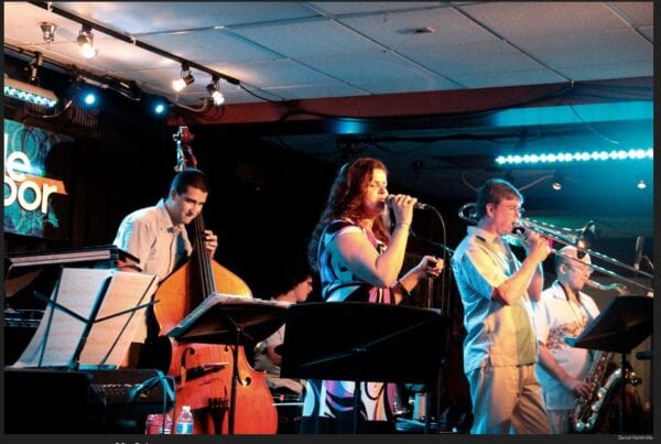 David Manson - Creative Pinellas