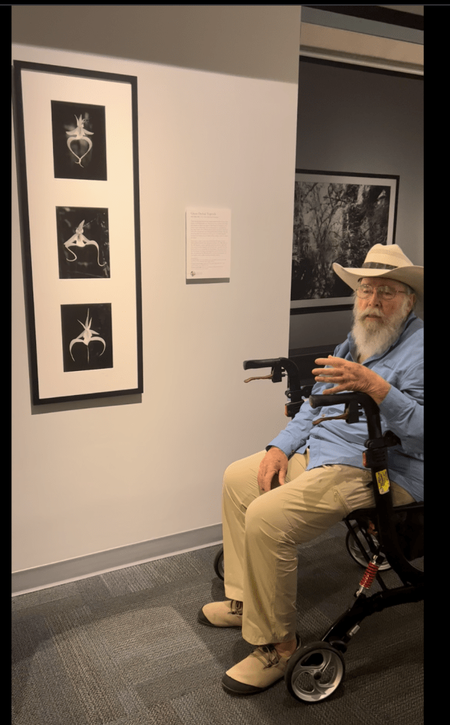 Clyde Butcher’s Photography Inspires Visitors at Clearwater’s Main ...