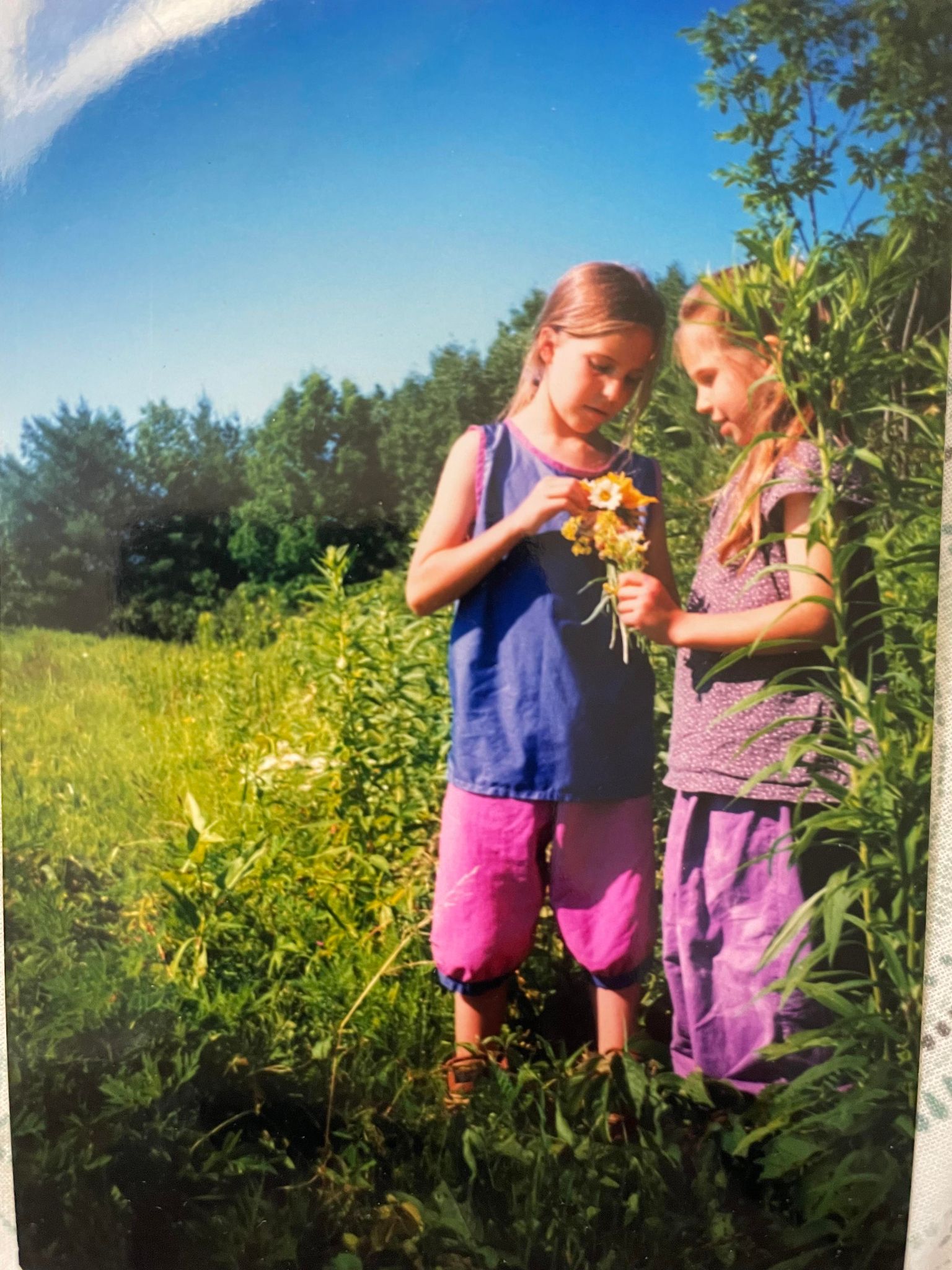 Journey of an Artist - Creative Pinellas