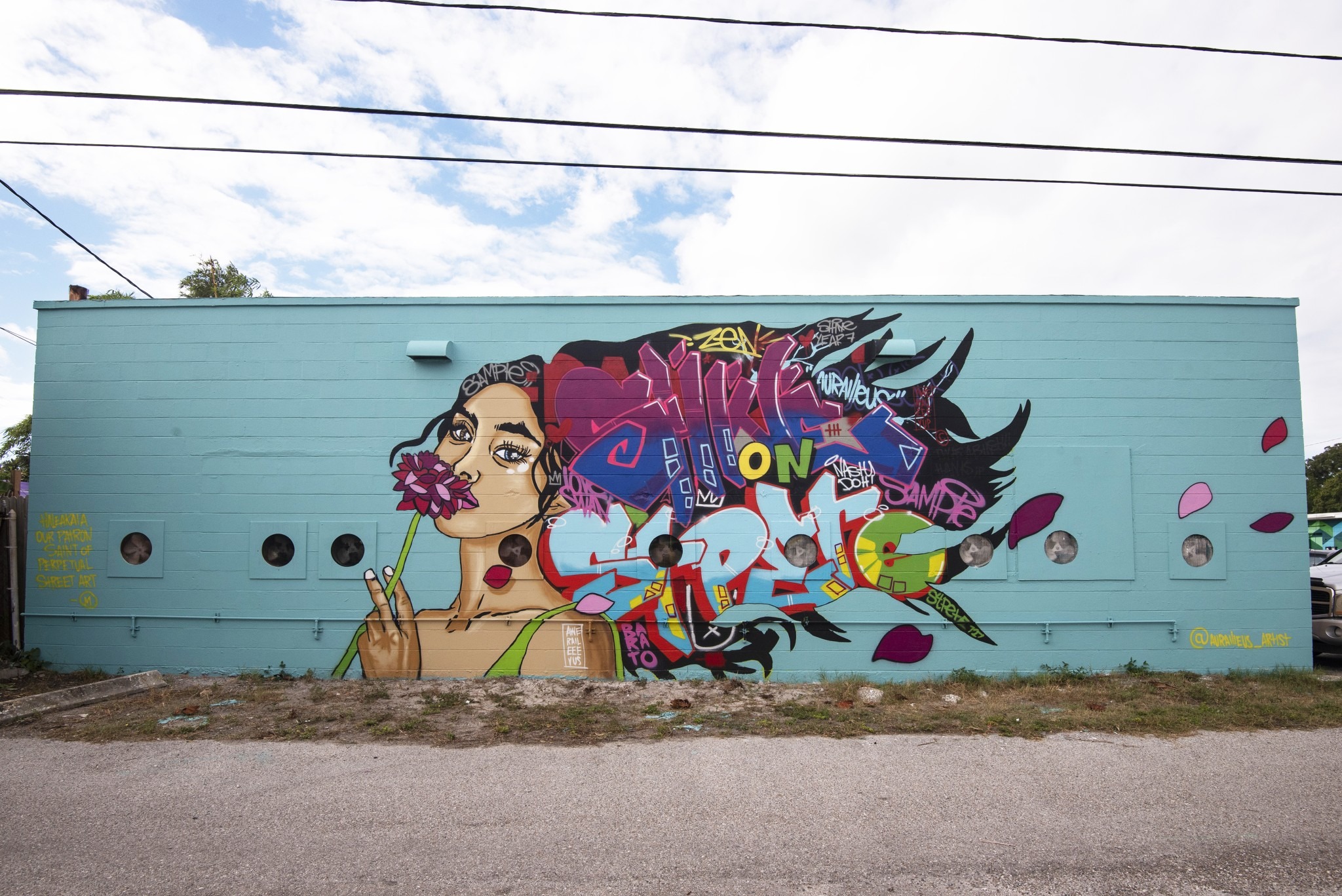 New SHINE Murals - Creative Pinellas