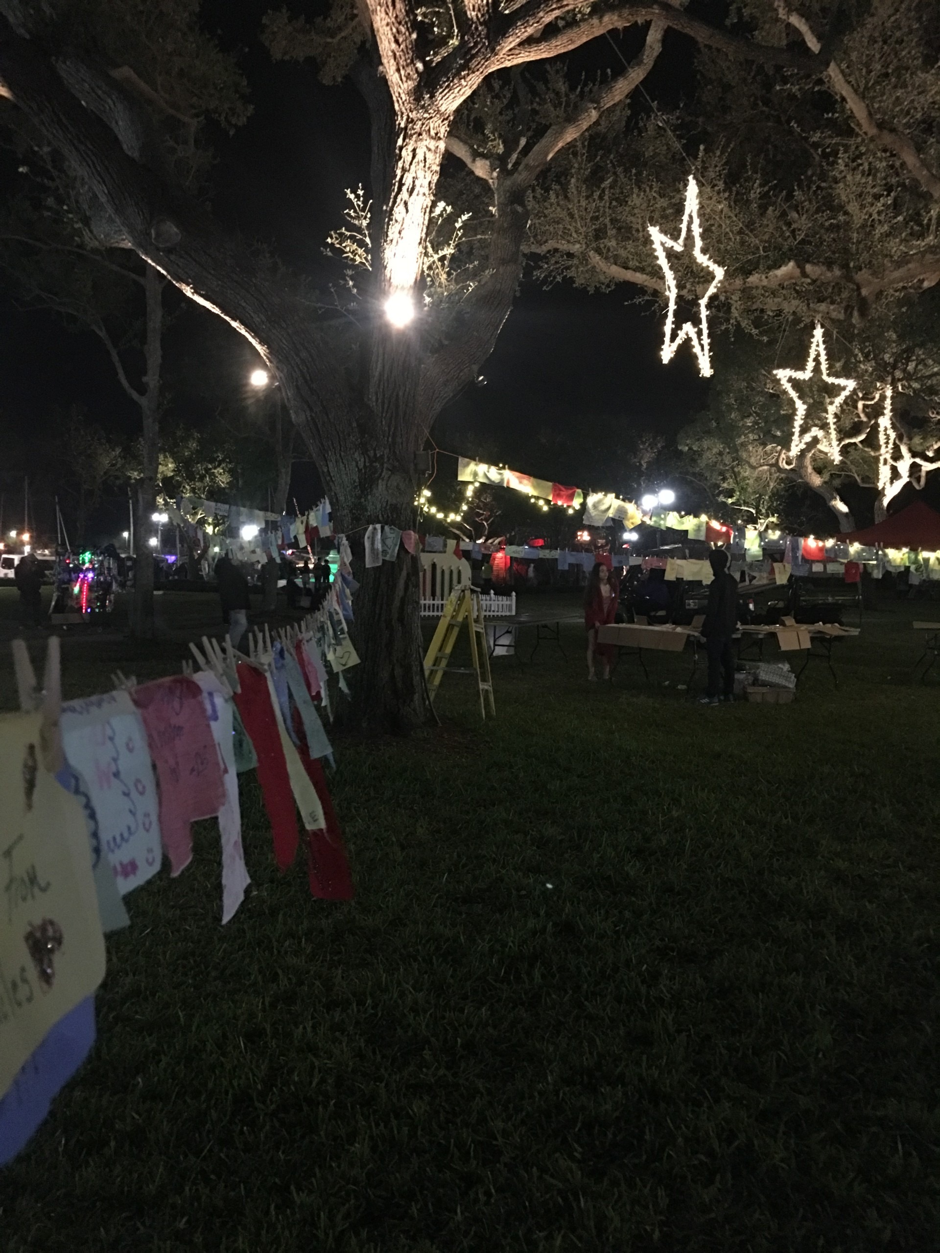 Hear from the Artists at First Night St Pete - Creative Pinellas