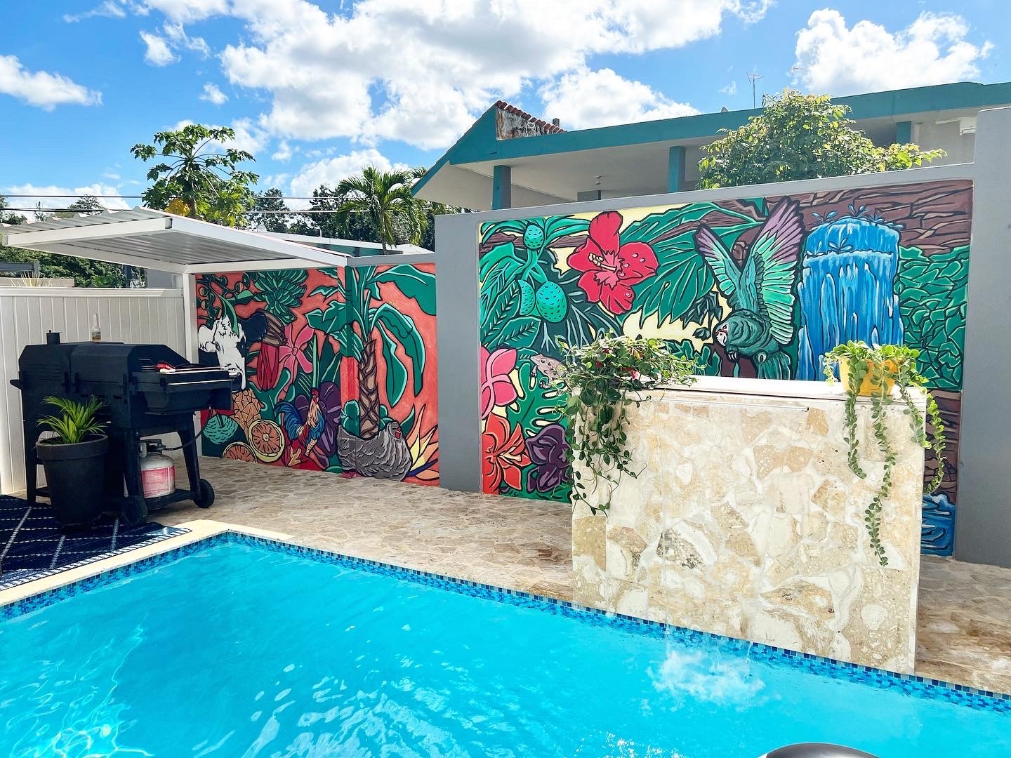 Learning Curves - Creative Pinellas