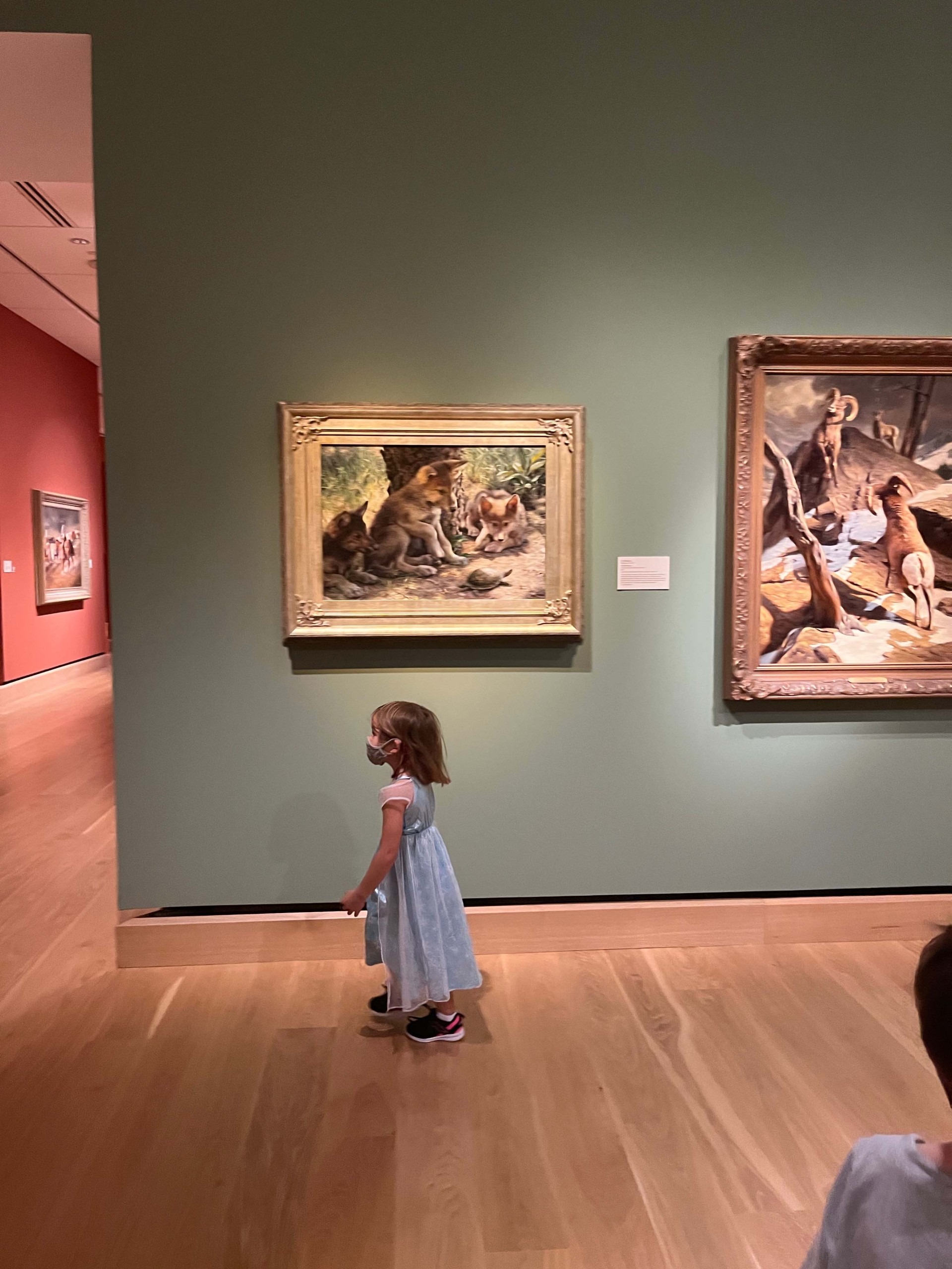 Journey to The James Museum with Children - Creative Pinellas