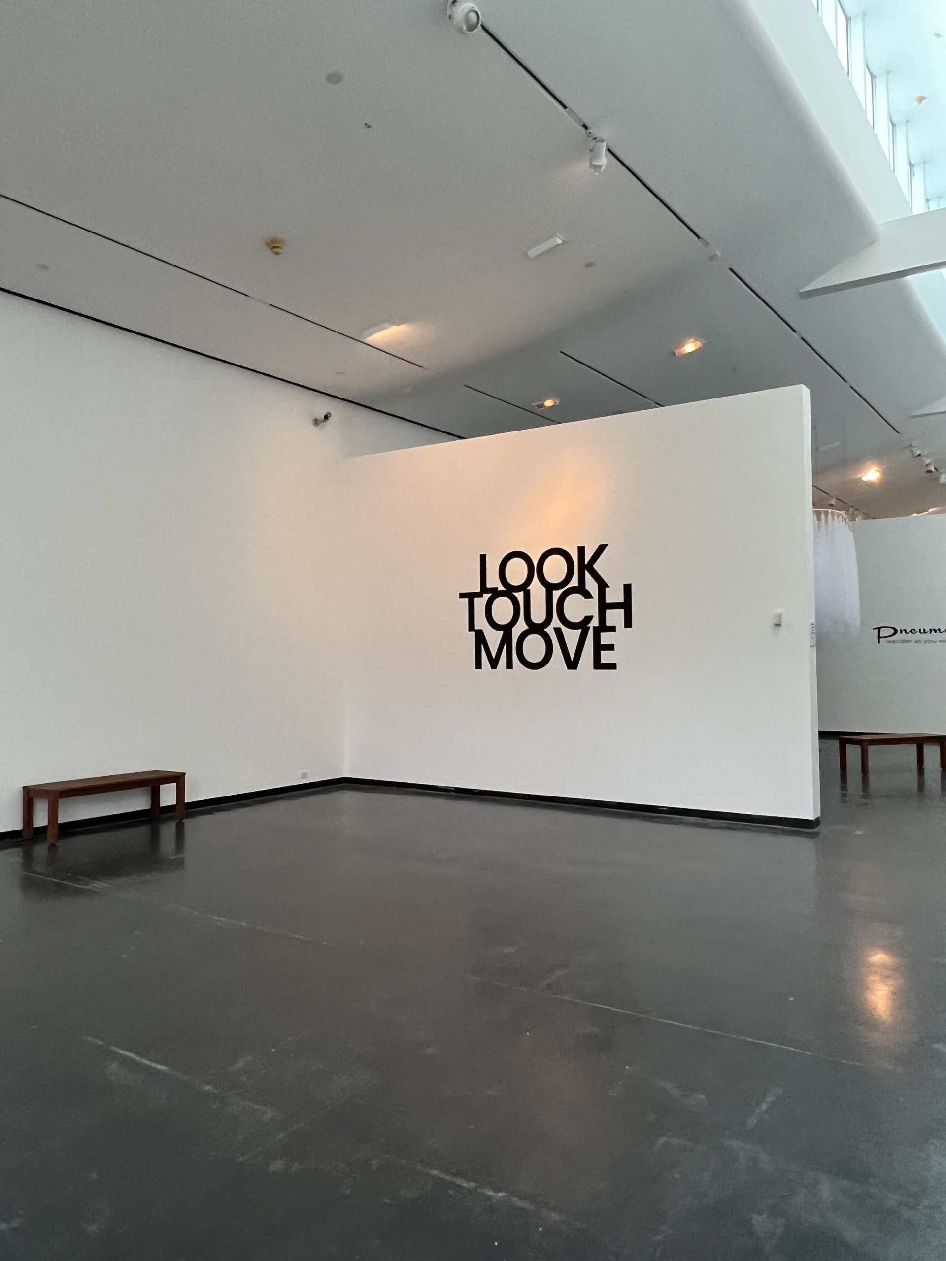 Seeing the Creative Pinellas Gallery for the First Time - Creative Pinellas