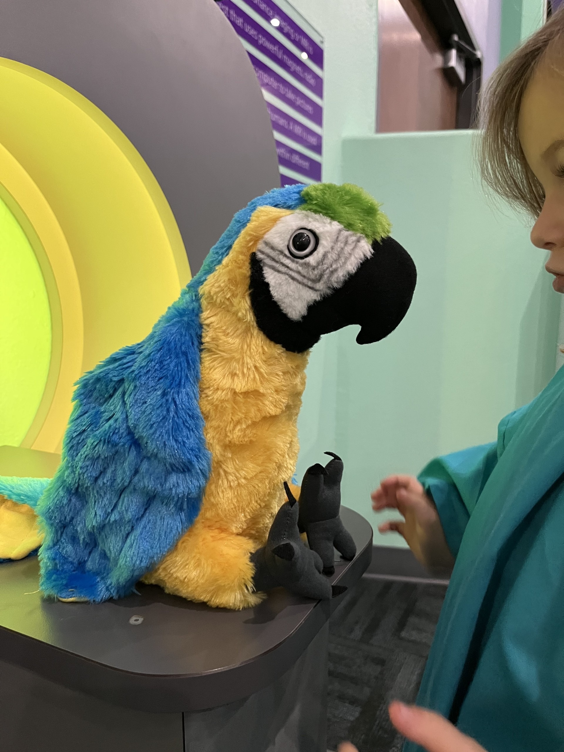 Visiting Great Explorations - Creative Pinellas