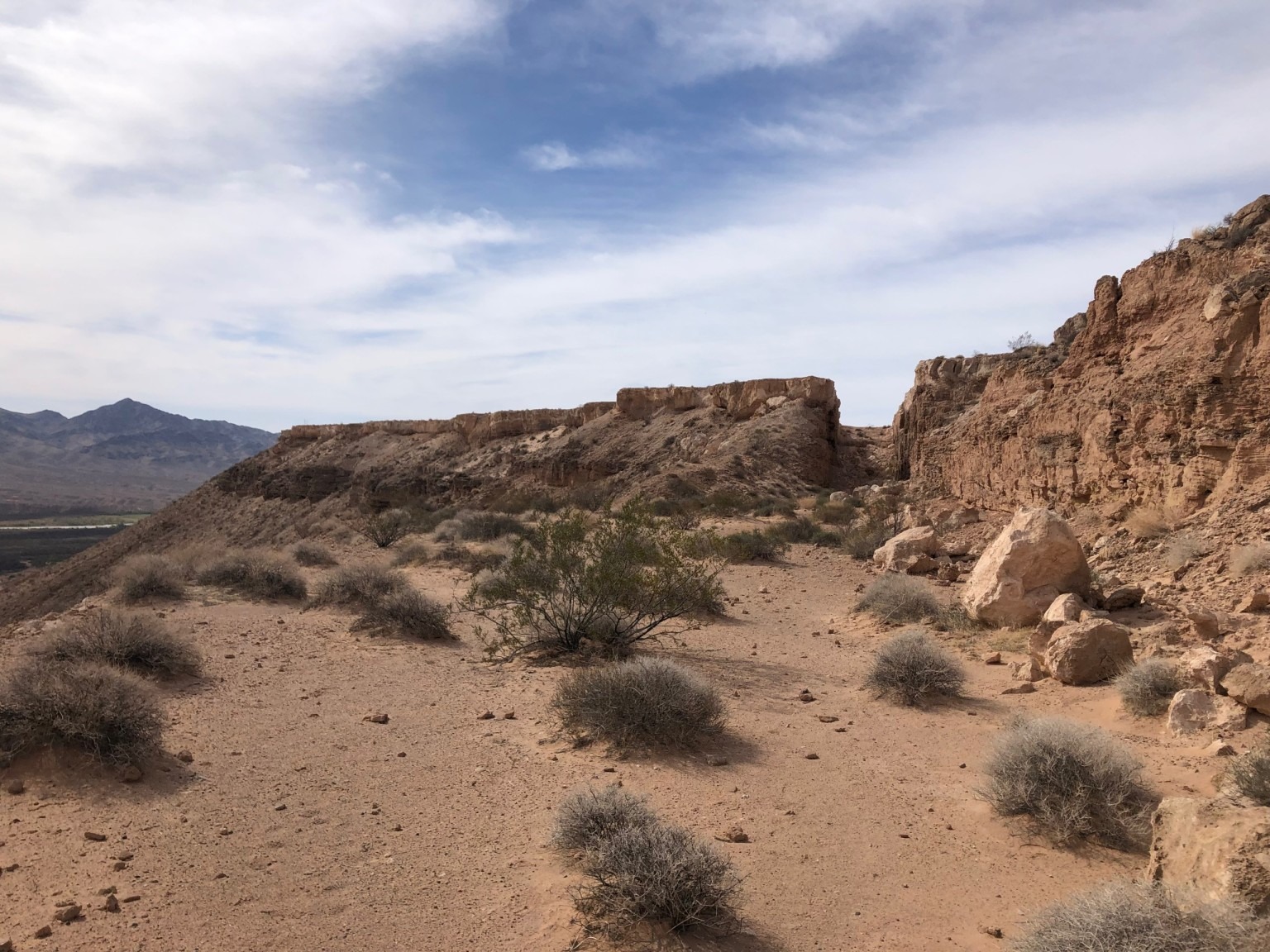 Exploring Land Art - Creative Pinellas