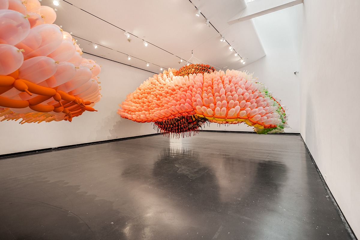 Exploring Jason Hackenwerth's Work - Creative Pinellas