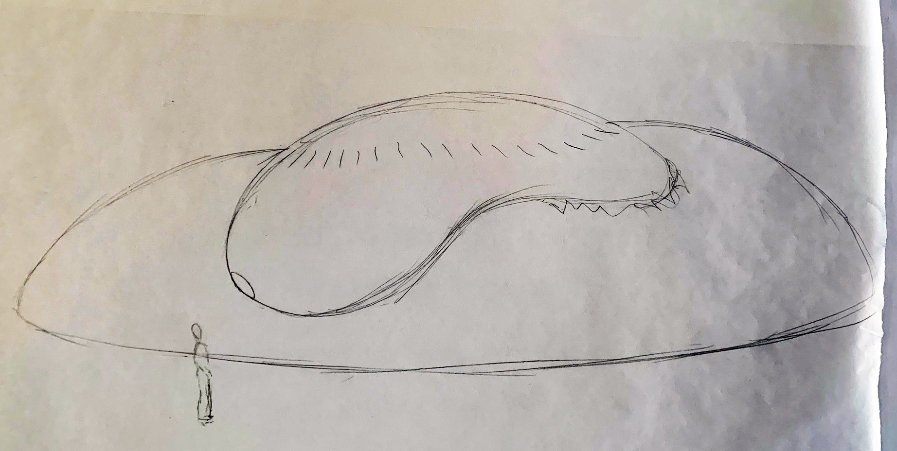 Preparing For DARKMATTER - Creative Pinellas