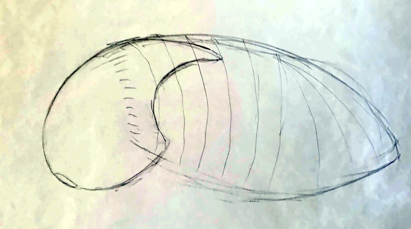 Preparing For DARKMATTER - Creative Pinellas