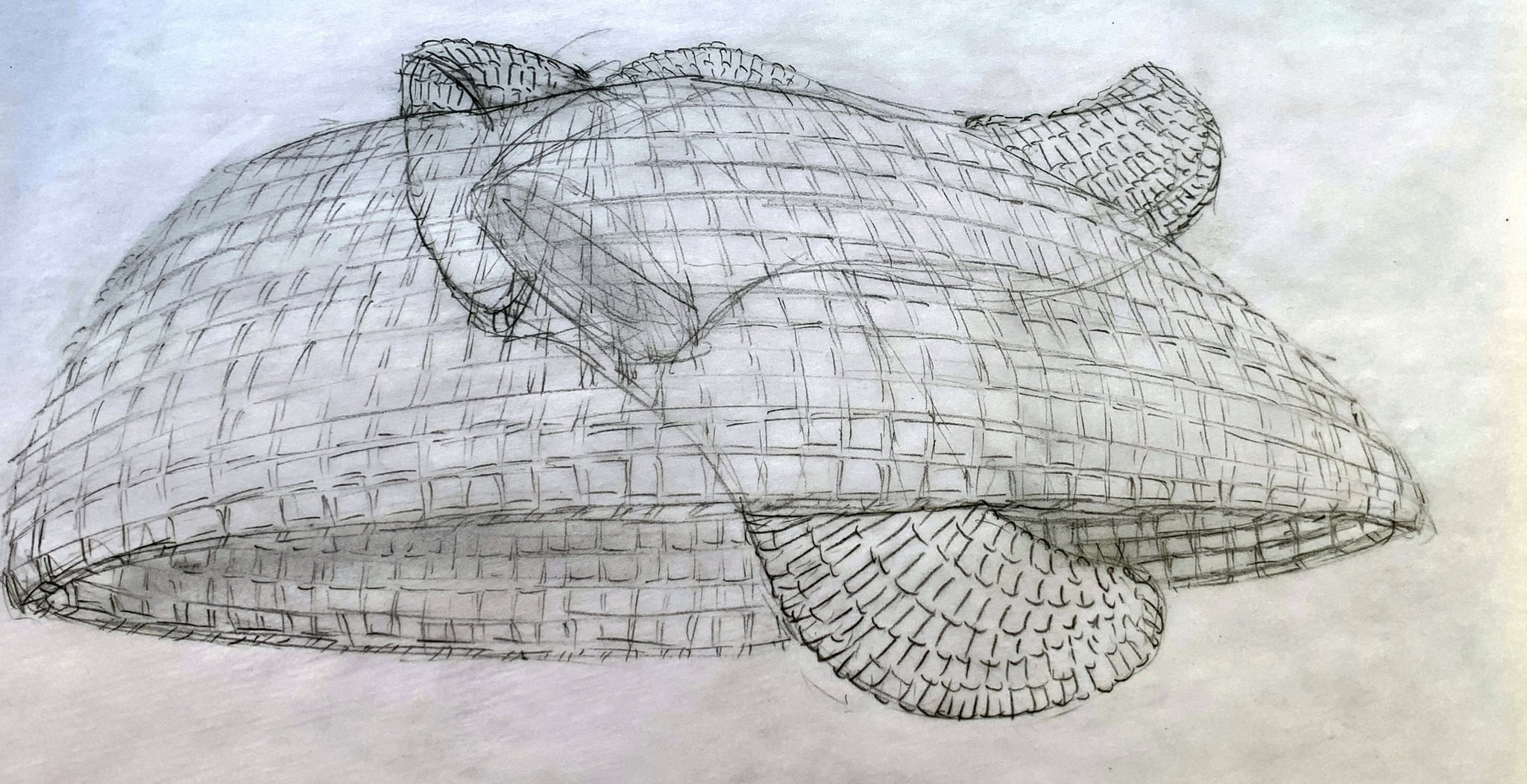 Preparing For DARKMATTER - Creative Pinellas