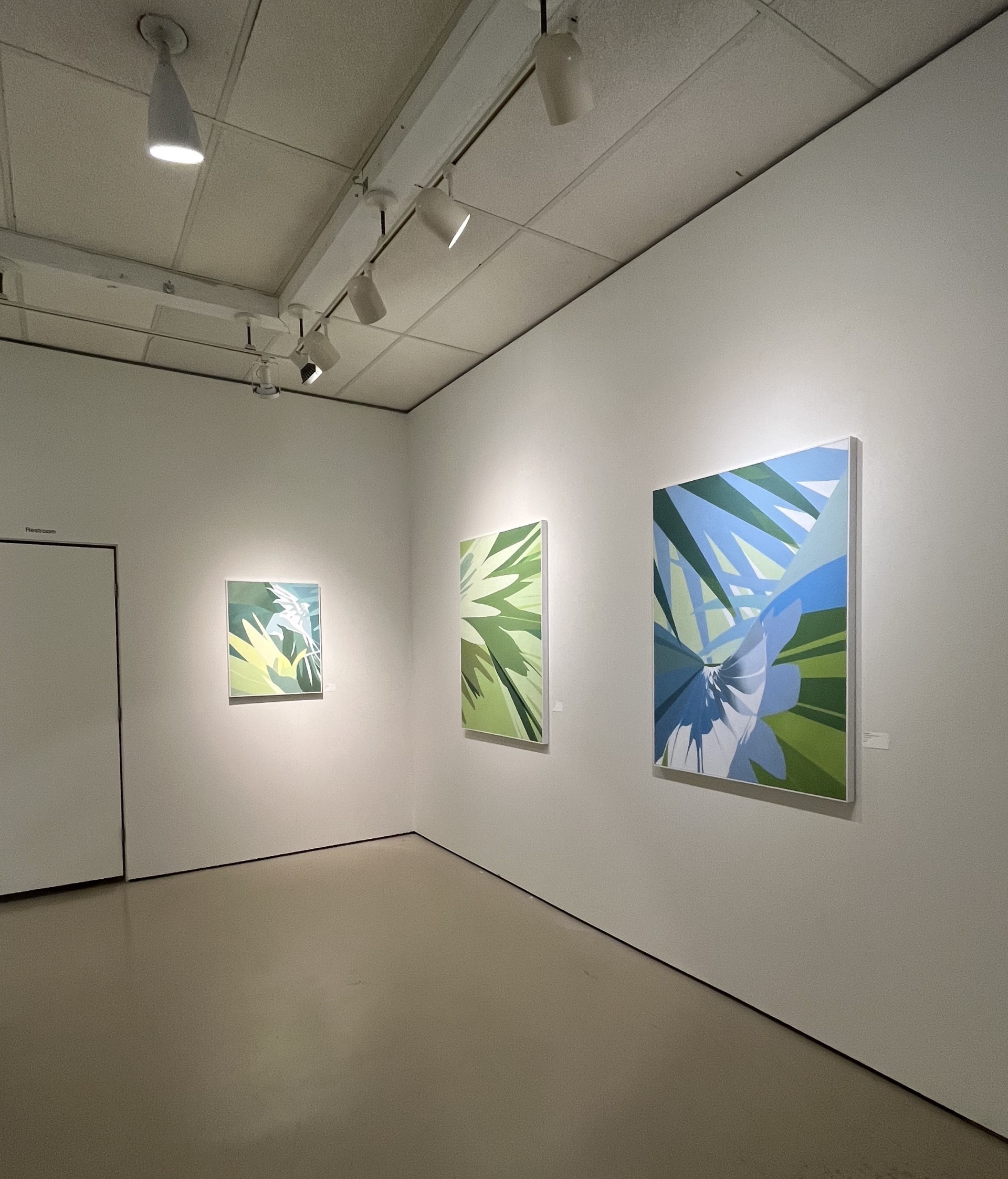 Elizabeth Barenis in Sarasota - Creative Pinellas