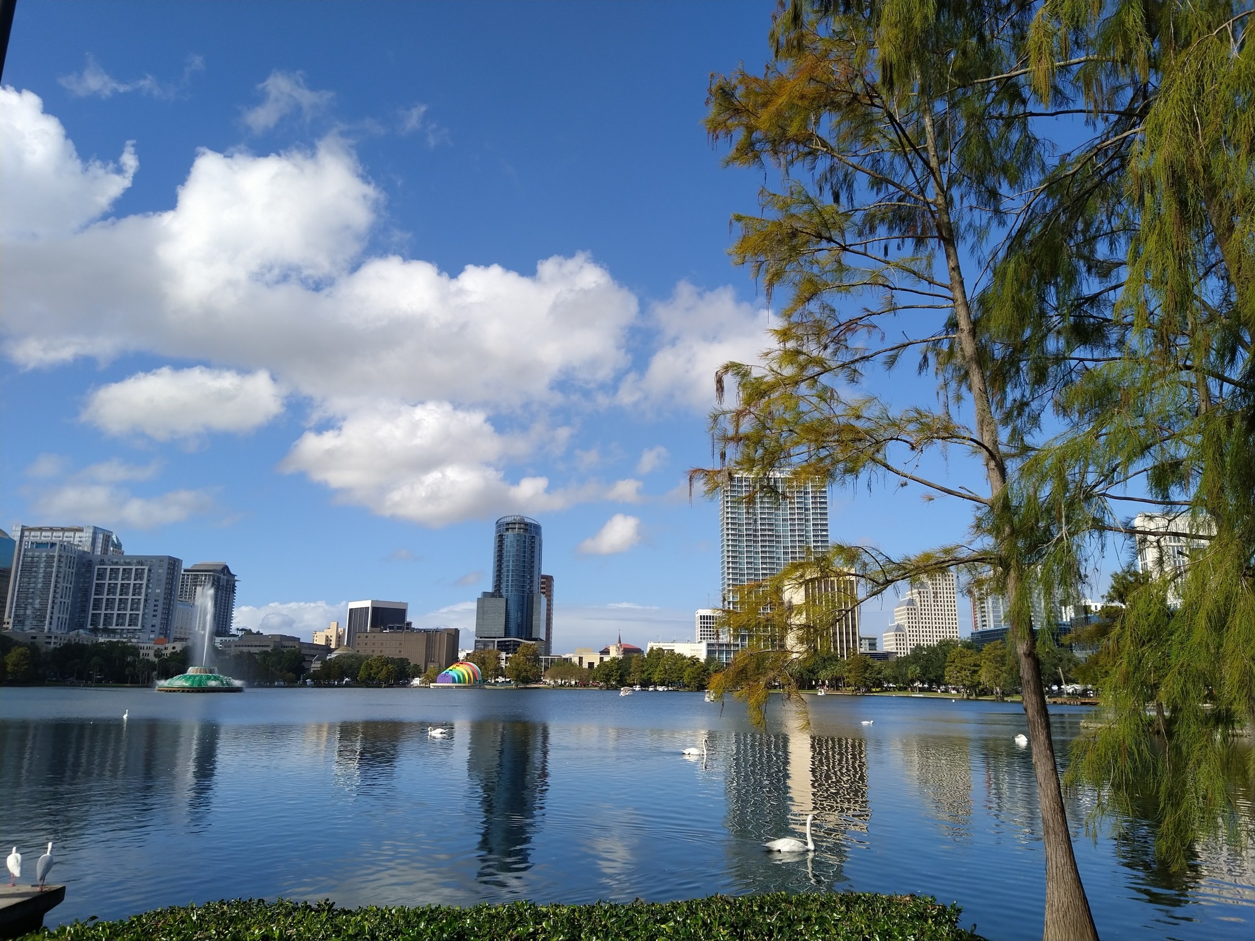 Creative Pinellas in Orlando - Creative Pinellas