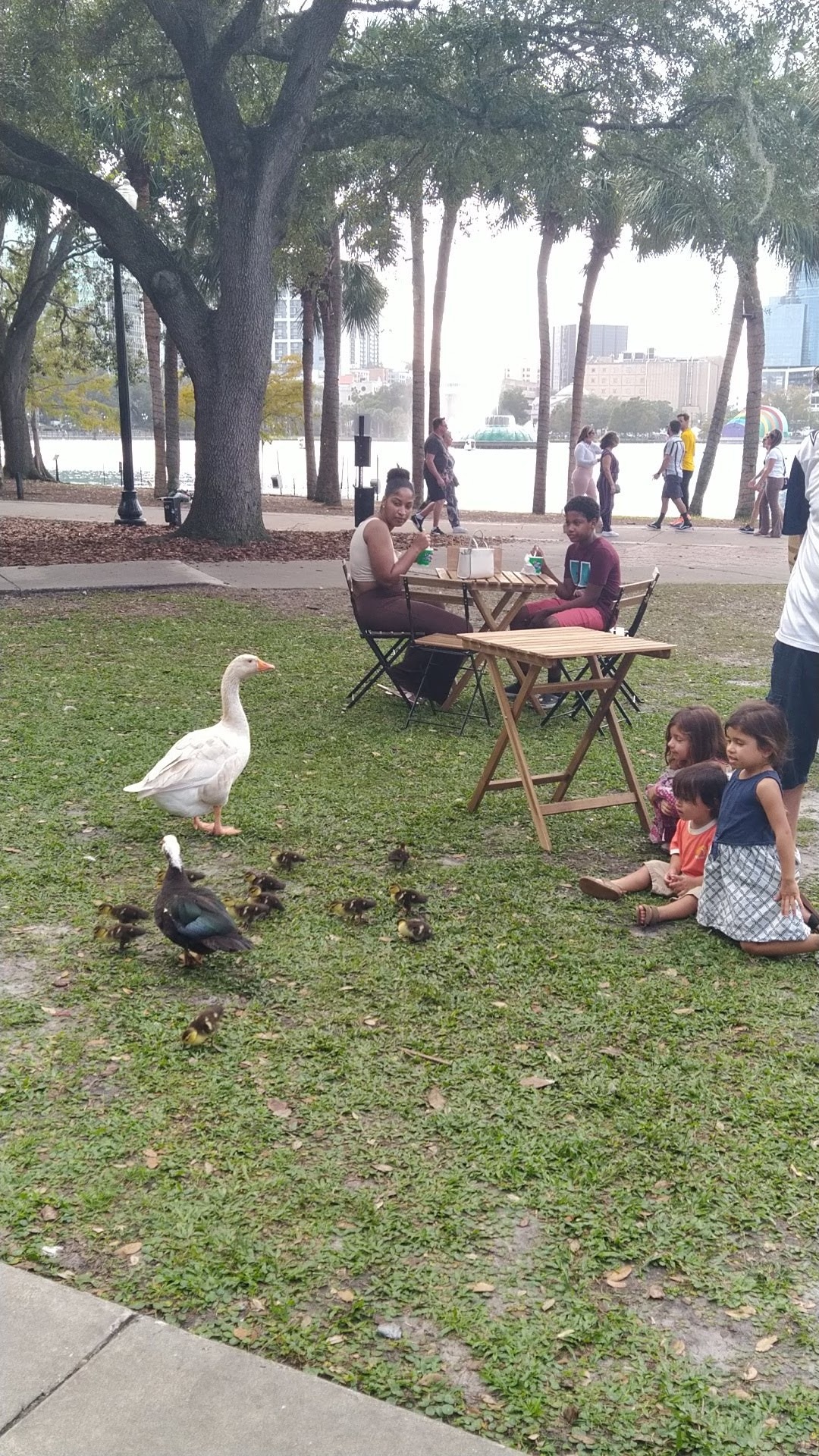 Creative Pinellas in Orlando - Creative Pinellas