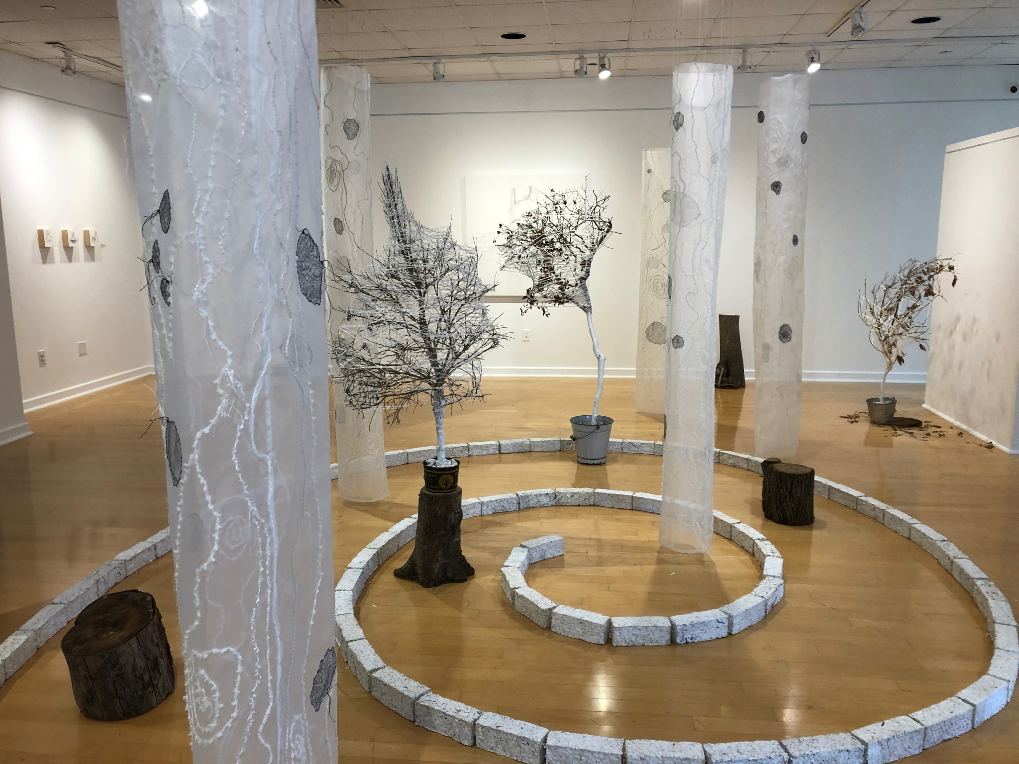 Lost Trees - Creative Pinellas