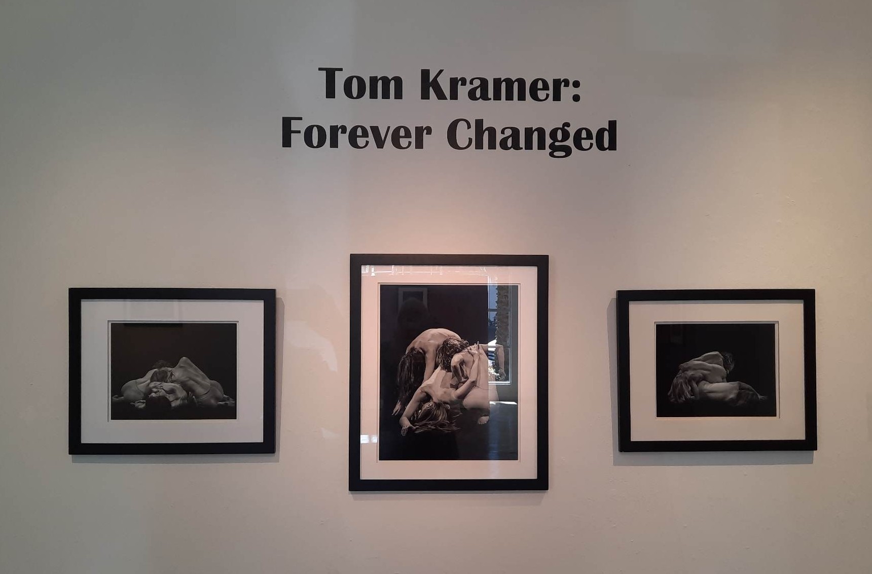 True Collaboration - Creative Pinellas