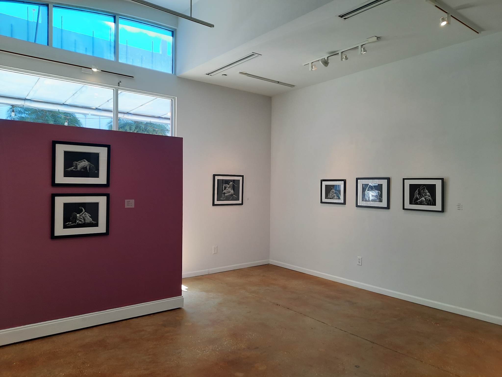 True Collaboration - Creative Pinellas