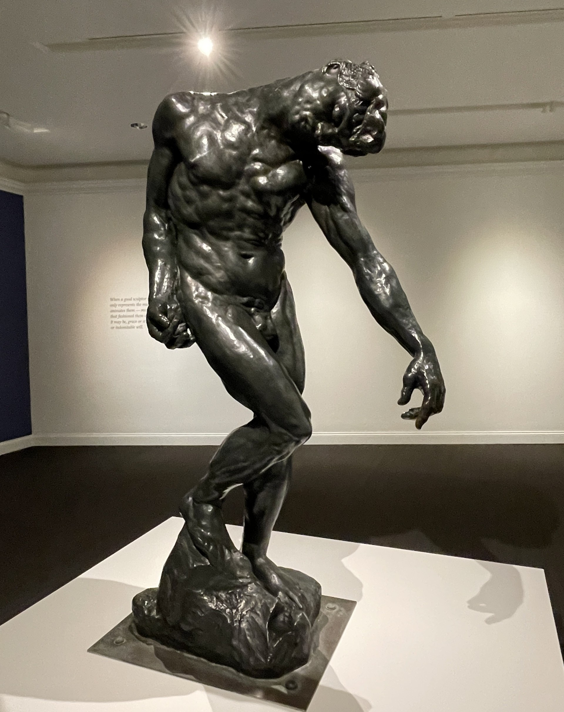 True Nature - Creative Pinellas