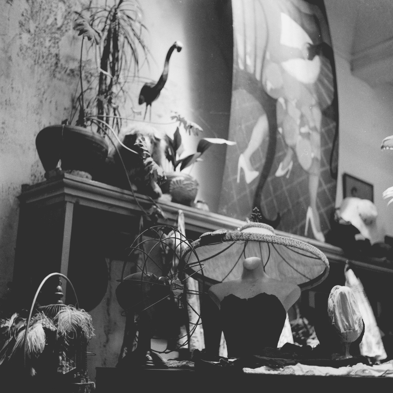 Ybor Speaks - Creative Pinellas