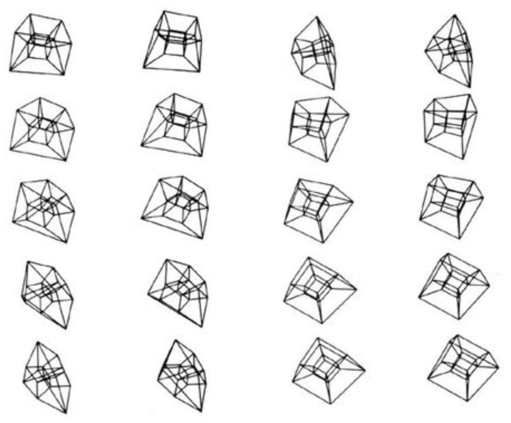 Grids in Nature, Design and Generative Art - Creative Pinellas