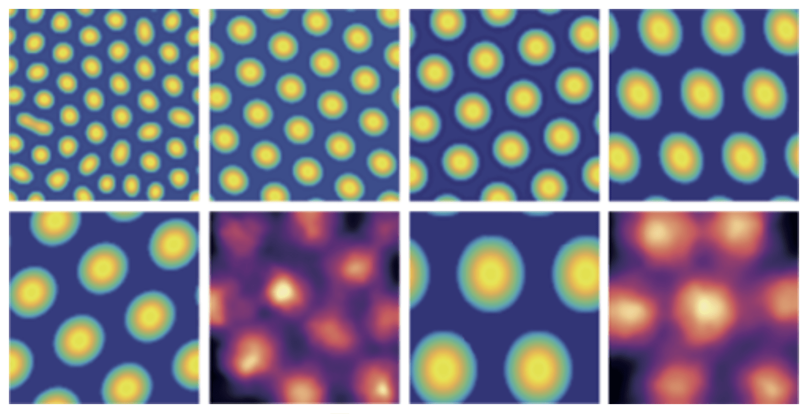 Grids in Nature, Design and Generative Art - Creative Pinellas