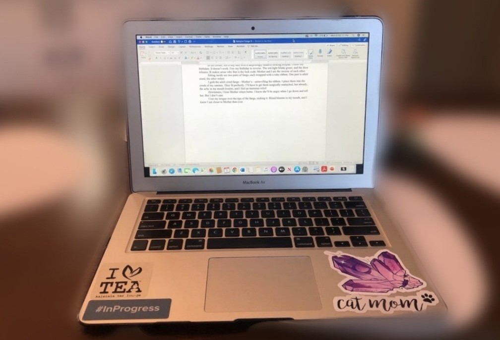 In-Progress: A Glimpse into My Current Writing Projects - Creative Pinellas