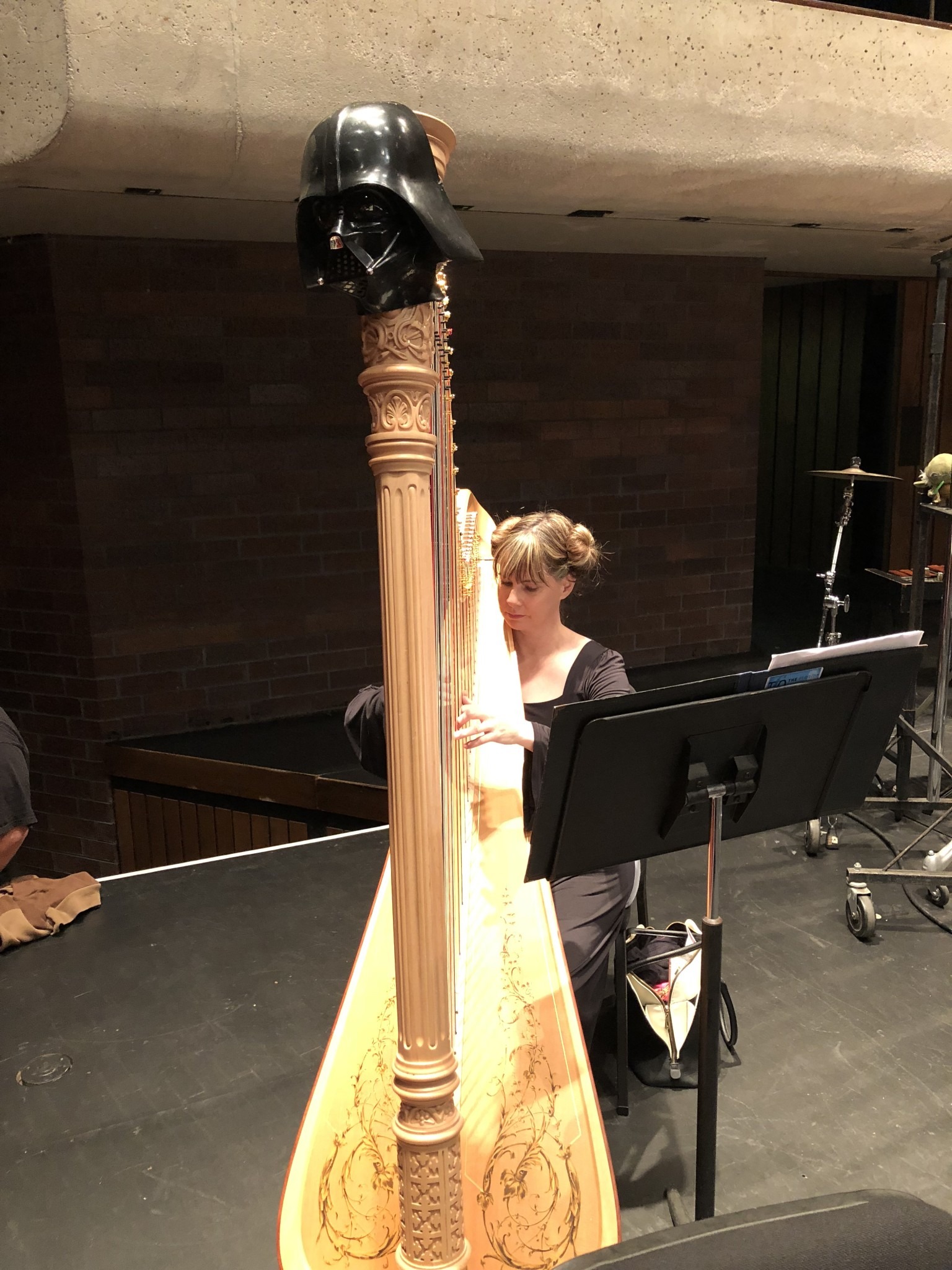 The Principal Harpist of The Florida Orchestra - Creative Pinellas