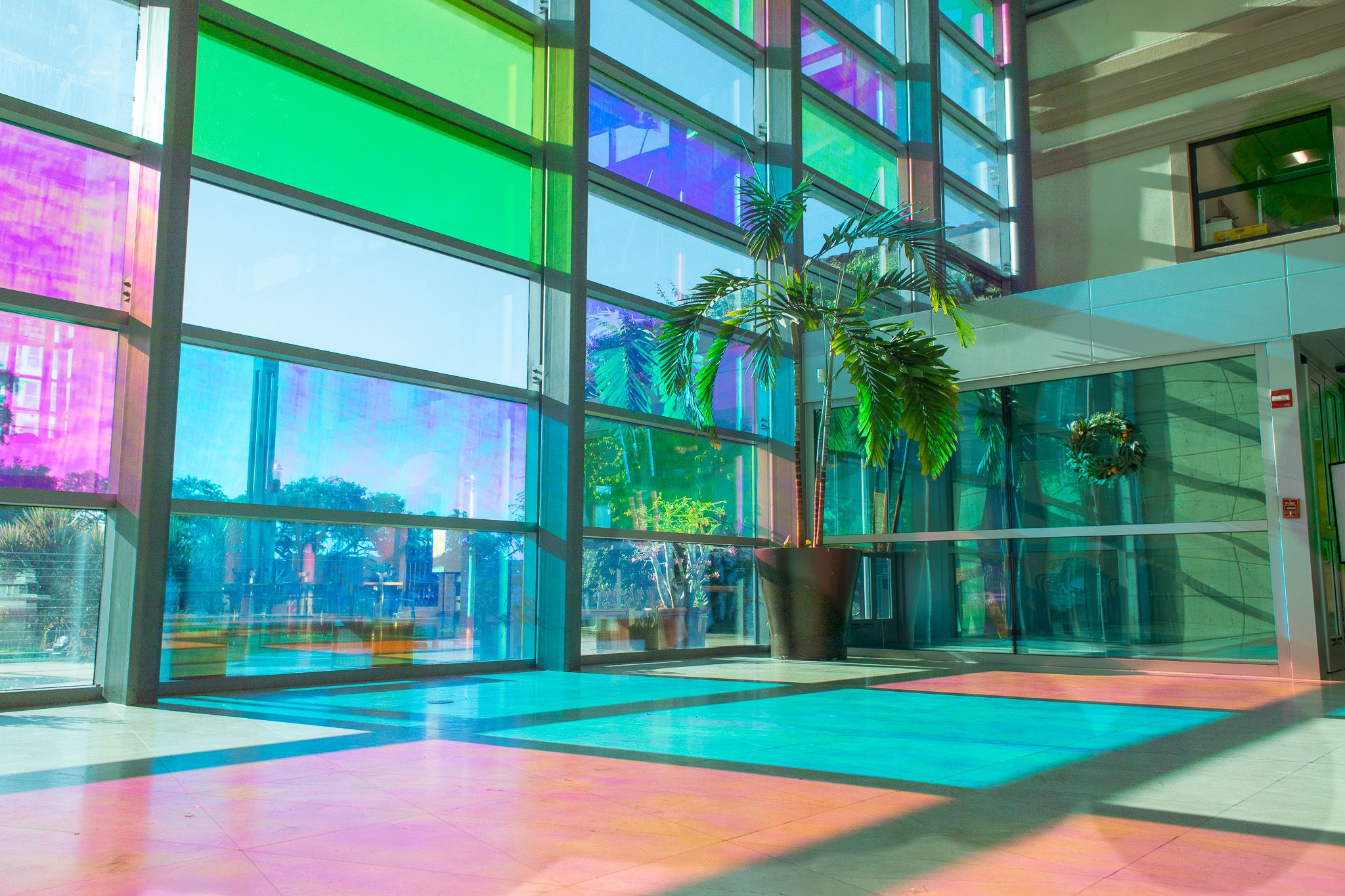 The MFA Welcomes Summer with an Expanded Christian Sampson Installation ...