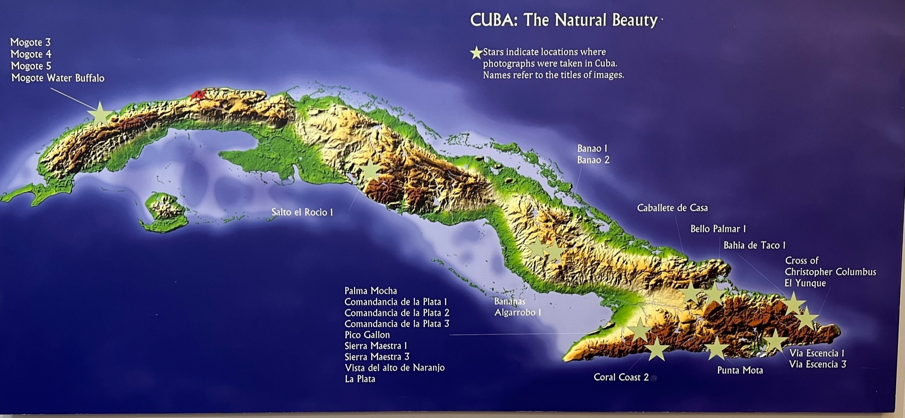 Extraordinary Echoes of Cuba - Creative Pinellas