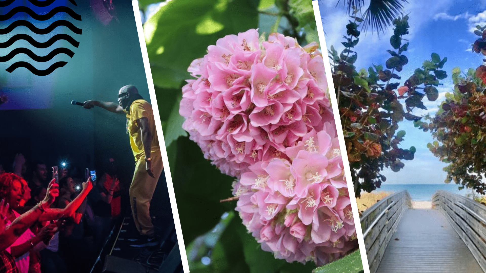 Arts Coast - Largo - Indian Rocks Beach - Creative Pinellas