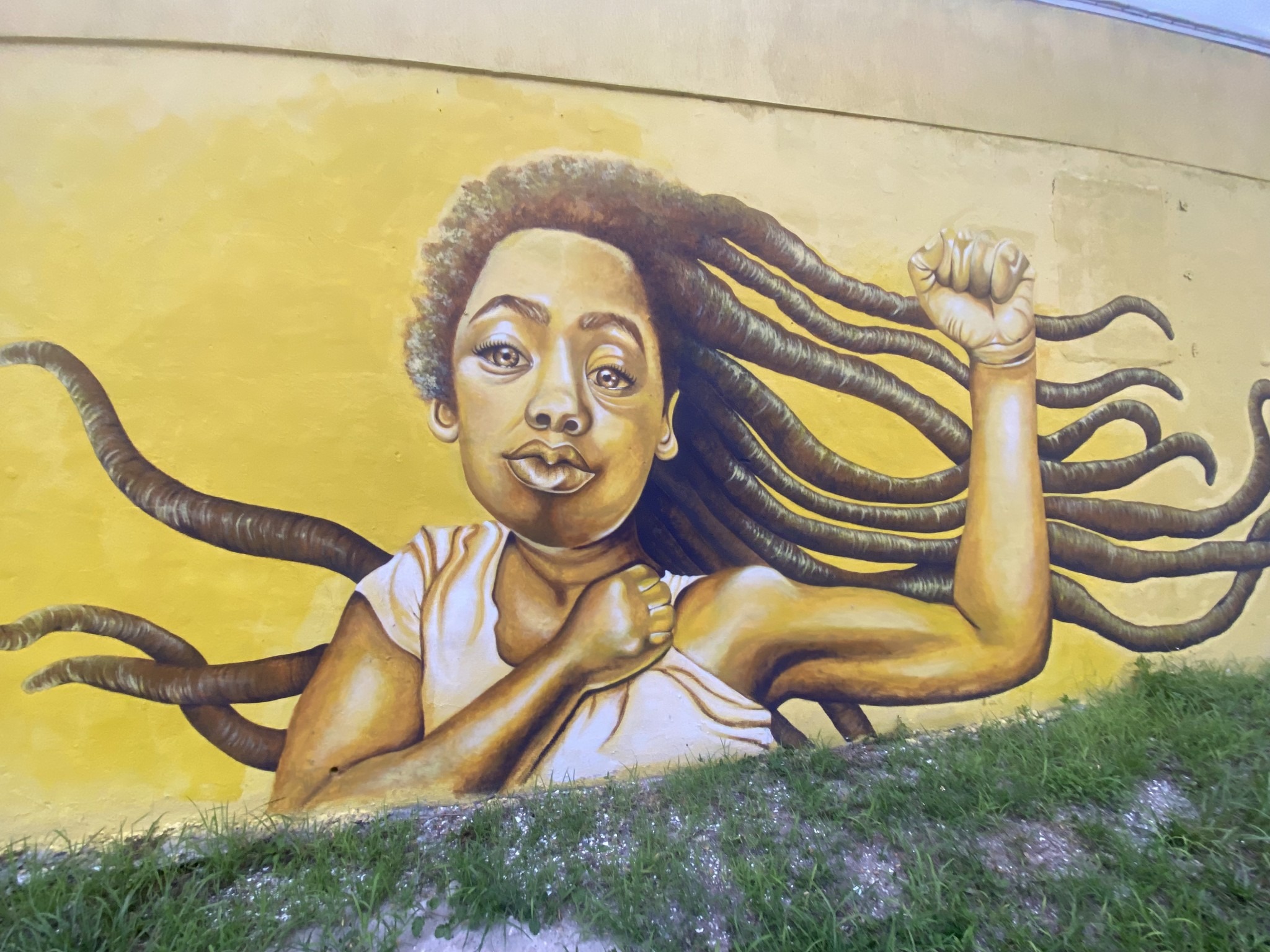 Murals in Mind - Creative Pinellas