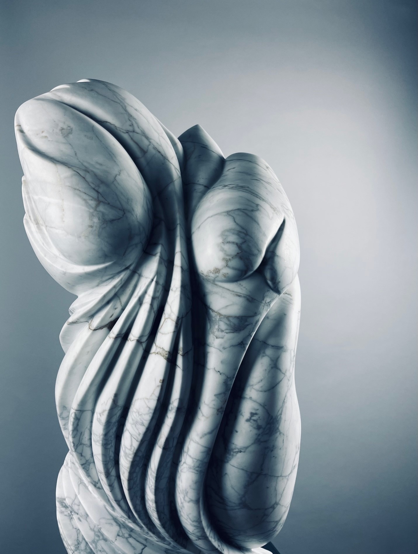 The Making of "The Swan" - Creative Pinellas