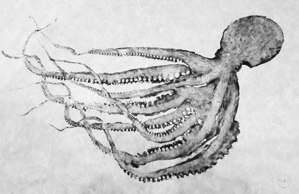 A Dreaming Octopus and The Language of The Senses - Creative Pinellas