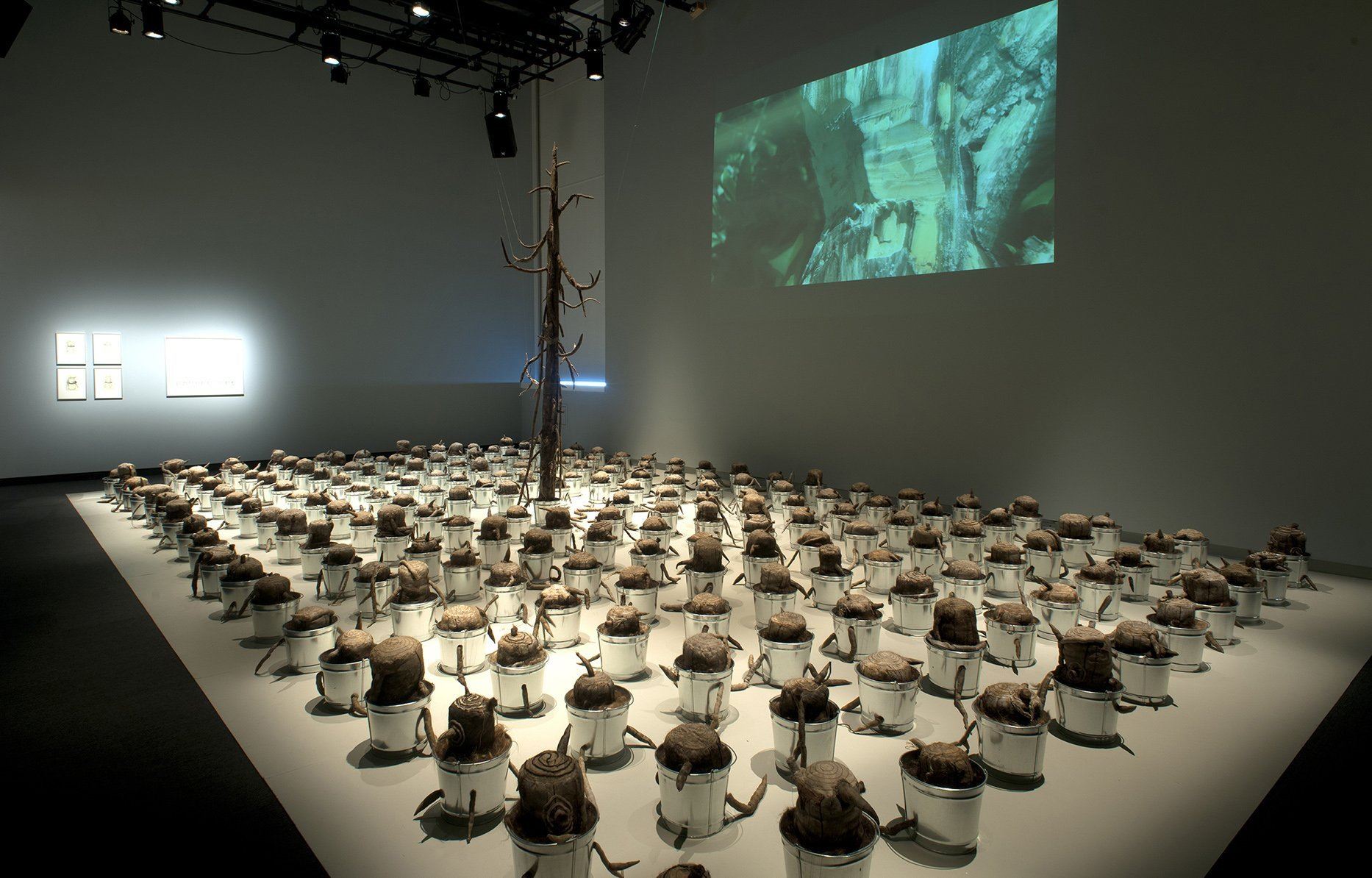 Mentorship with Artist Babs Reingold - Creative Pinellas