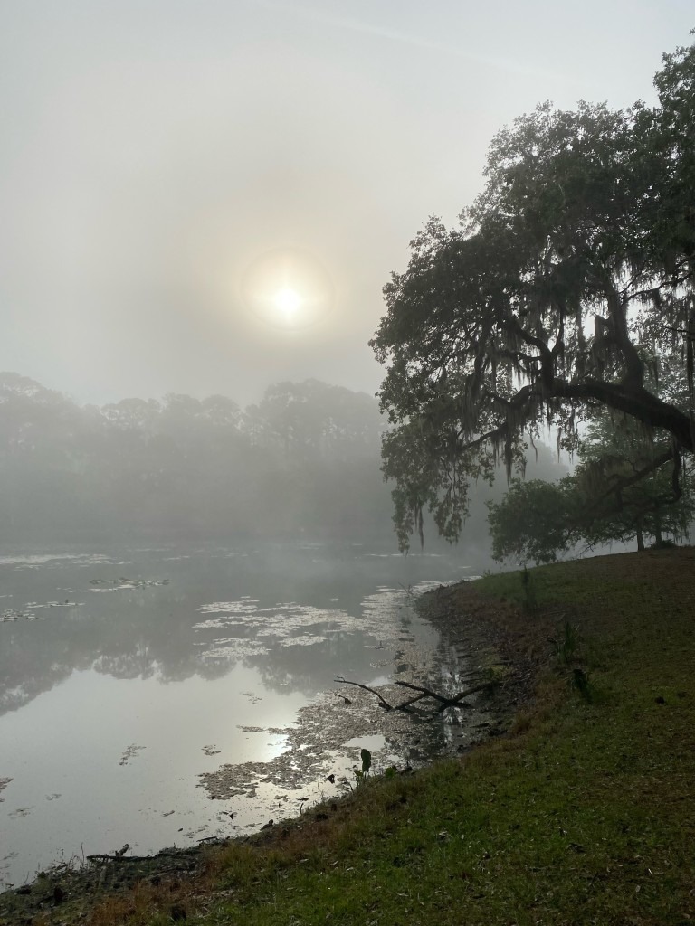 Working from other people's photos and copyright law - Creative Pinellas