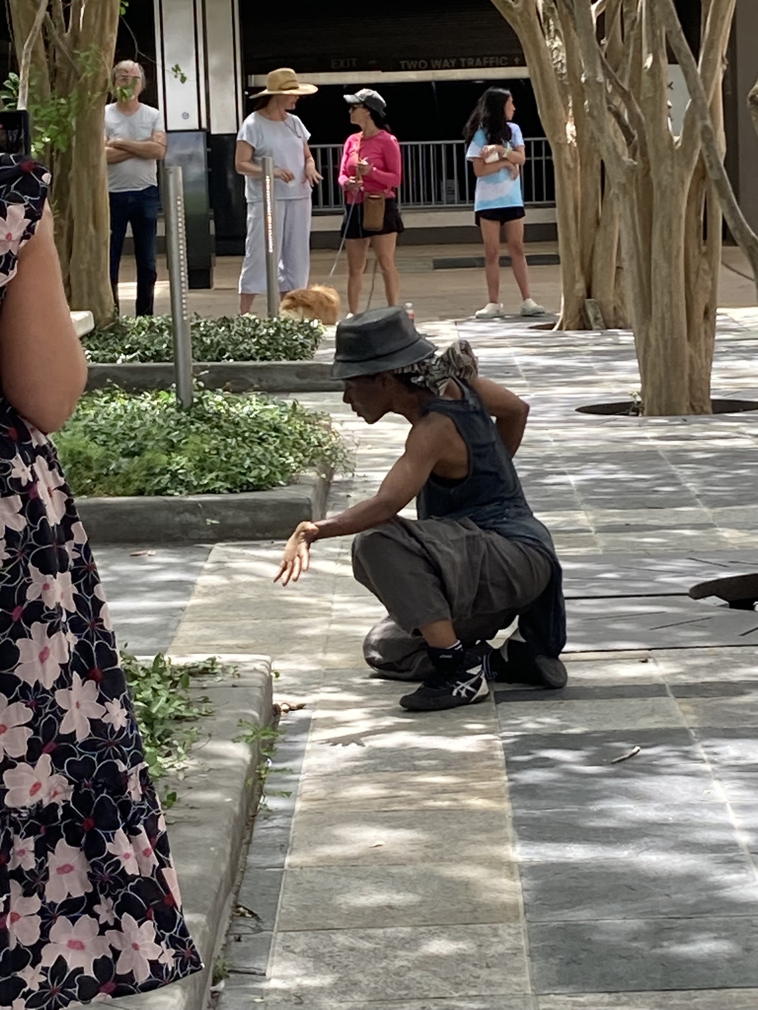 MOVE! St. Pete Dance Festival - Creative Pinellas