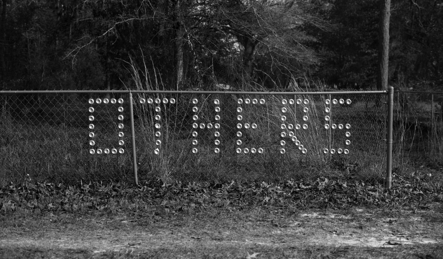 Through Her Eyes – Women Photographers of Tampa Bay - Creative Pinellas