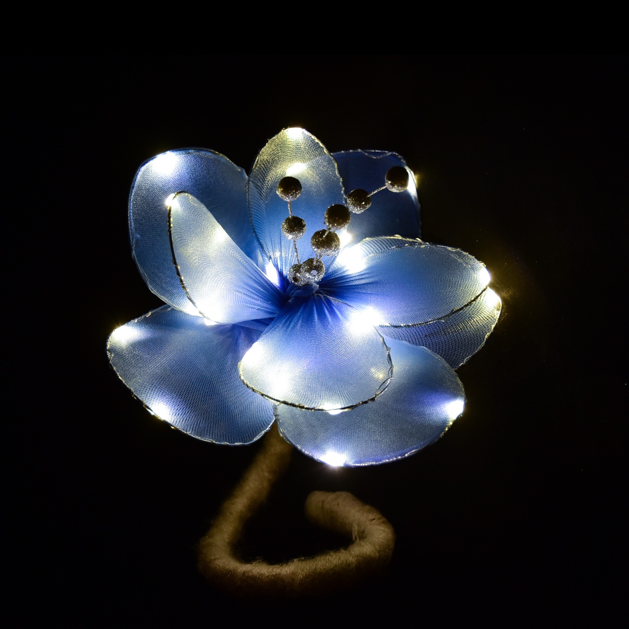 A Rose by Any Other Name (except Idalia) - Creative Pinellas