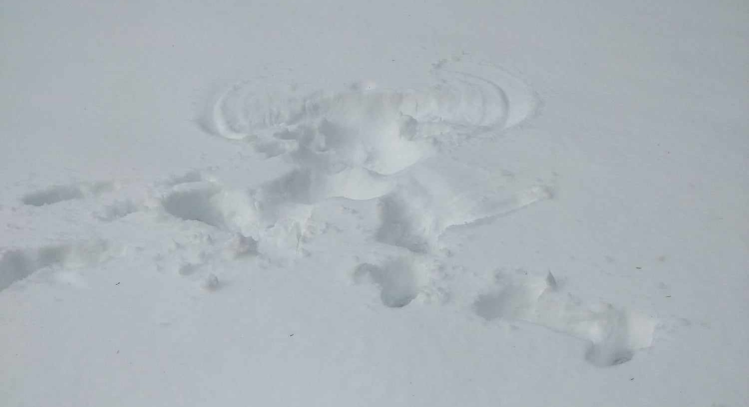 The Movements of Life in Vivid Words - Creative Pinellas