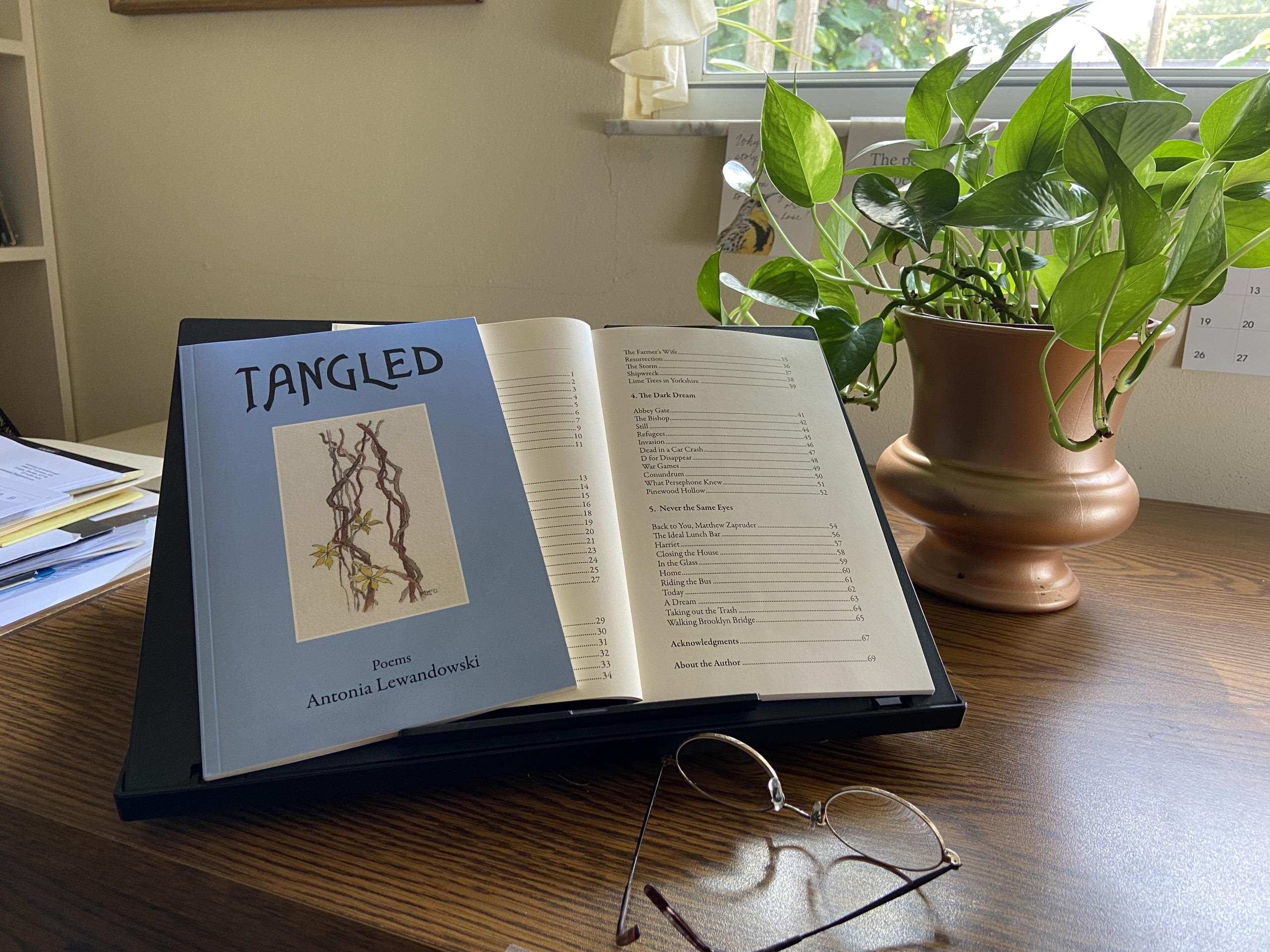 A Leap Forward - Creative Pinellas