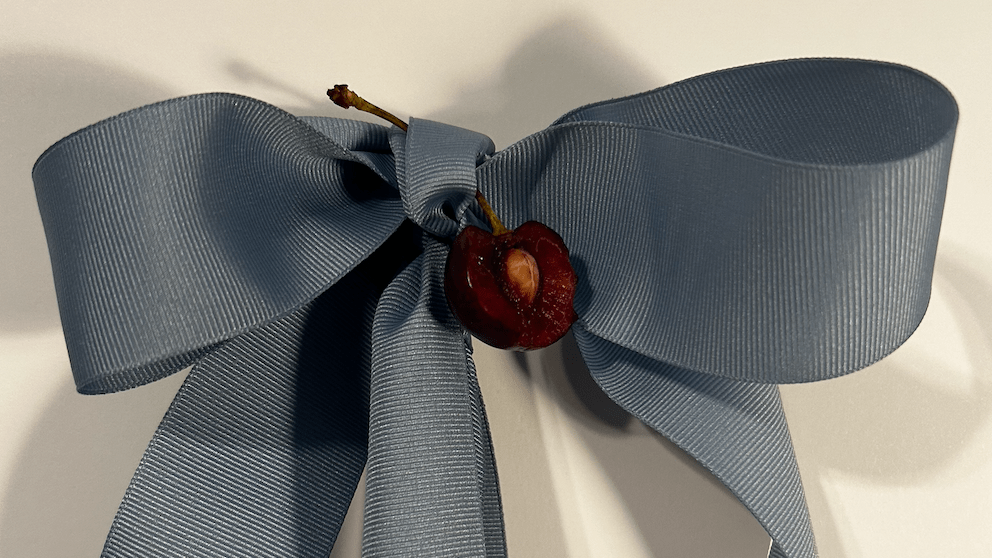 Inspiration for a Still Life - Creative Pinellas