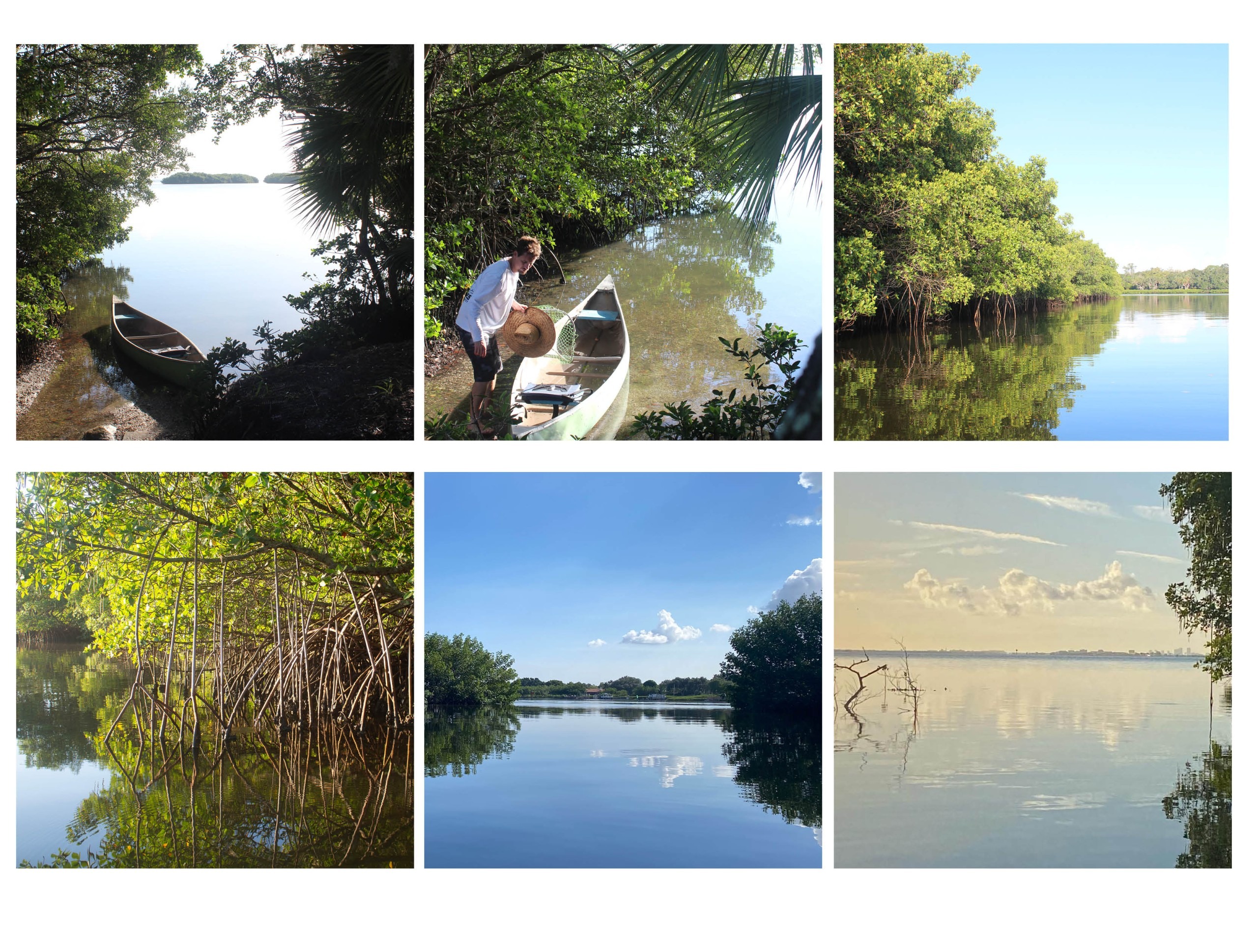 Extending an Experience - Creative Pinellas