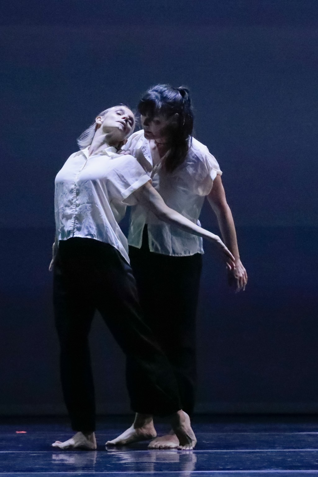 BEACON 2024 – New Pathways in Dance - Creative Pinellas