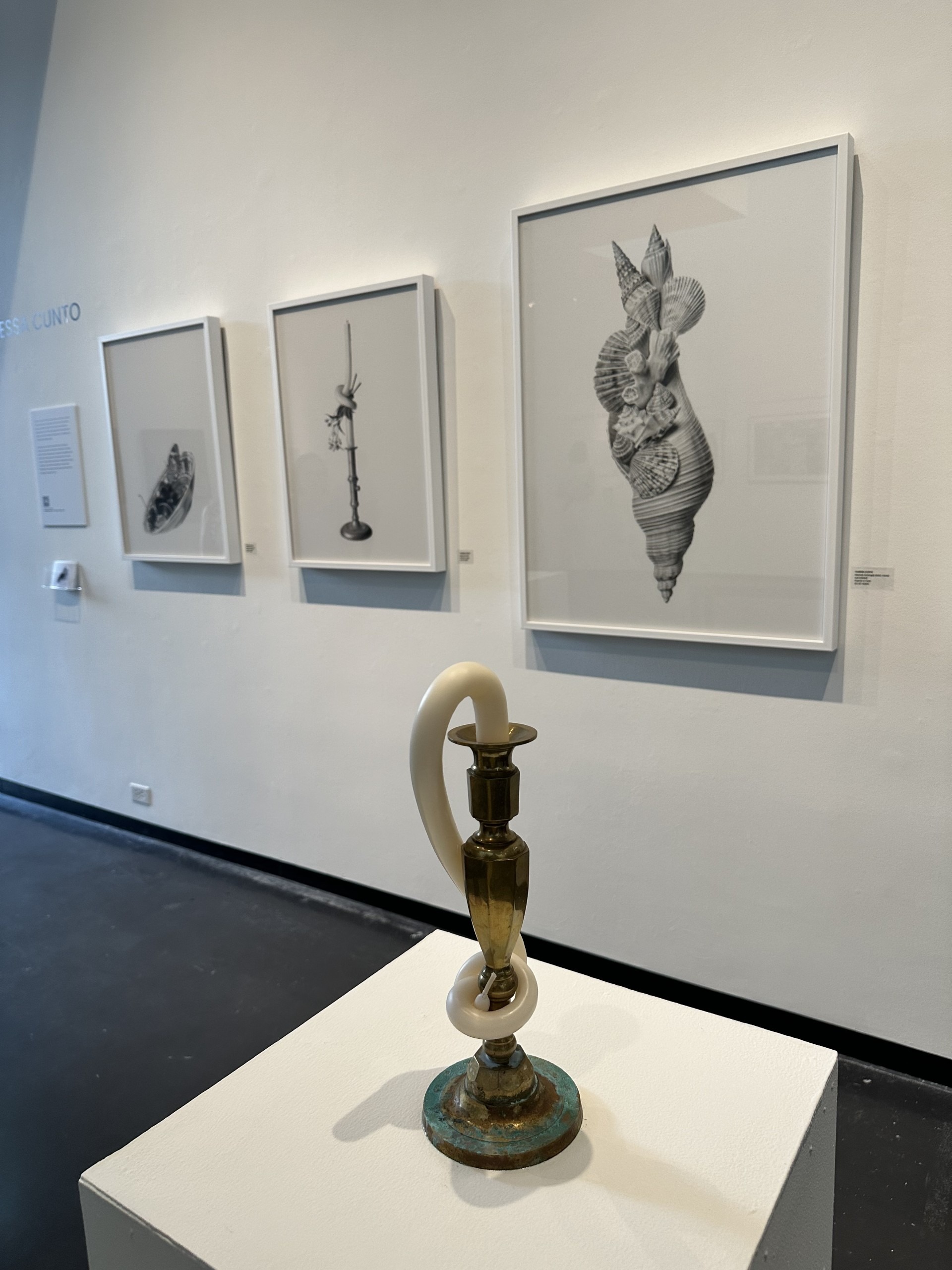 At the 2024 Emerging Artists Exhibit - Creative Pinellas